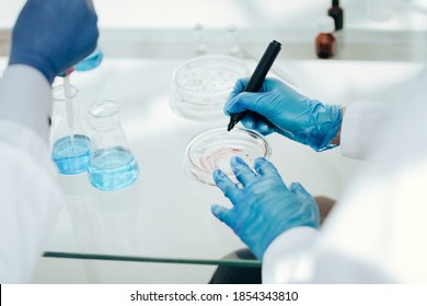 1,114 Microbial contamination Images, Stock Photos & Vectors | Shutterstock