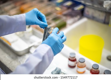 Scientists Preparing Specimens Laboratory Study Abnormalities Stock ...