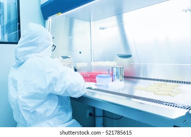 Scientists Work Laboratorylaboratory Backgroundscience Test Background ...