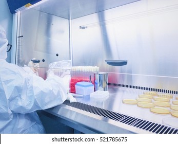 Scientists Work Laboratorylaboratory Backgroundscience Test Background ...