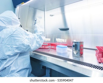 Scientists Work Laboratorylaboratory Backgroundscience Test Background ...