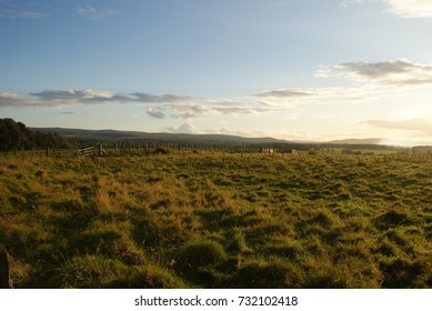 Scottish Fields Stock Photo 732102418 | Shutterstock