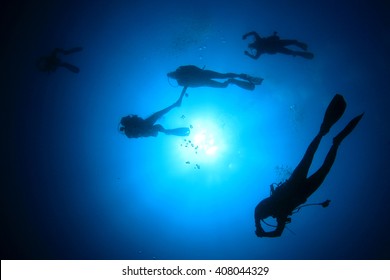 2,238 Swimming Diving Team Stock Photos, Images & Photography ...