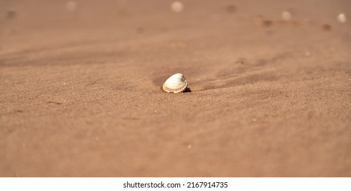 12,560 Circular sea Stock Photos, Images & Photography | Shutterstock