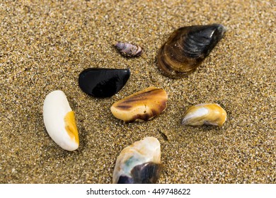 Sheet Surface Corridor Flooring Flower Stock Photo 307335224 | Shutterstock