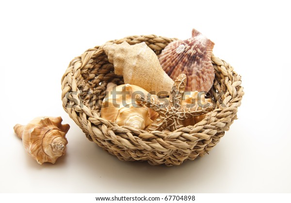 Sea Shells Basket Stock Photo 67704898 | Shutterstock