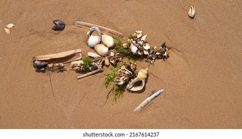 12,560 Circular sea Stock Photos, Images & Photography | Shutterstock