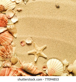 Sea Shells Sand Background Stock Photo 77094853 | Shutterstock