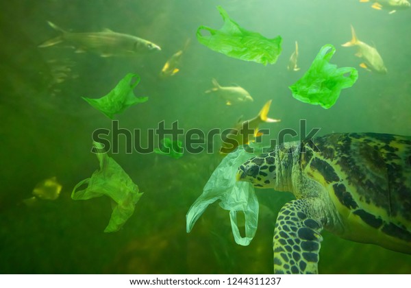Sea Turtle Eat Plastic Bag Ocean Stock Photo (Edit Now) 1244311237