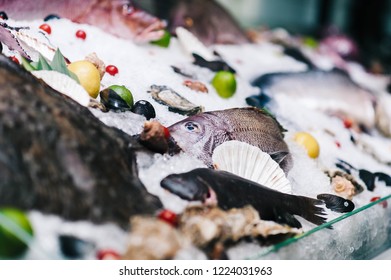 Seafood Window Display Stock Photo 1224031951 | Shutterstock