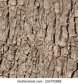 14,008 Tree bark seamless Images, Stock Photos & Vectors | Shutterstock