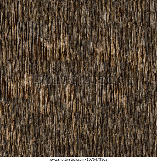14 906 Cortex texture Snímků, stock fotografií a vektorů | Shutterstock