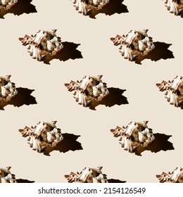 Seamless Pattern Clam Shells On Pastel Stock Photo 2154126549 ...