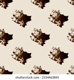 Seamless Pattern Clam Shells On Pastel Stock Photo 2154463845 ...