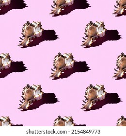 Seamless Pattern Clam Shells On Pastel Stock Photo 2154849773 ...