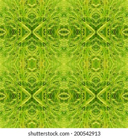 Seamless Pattern Made Paddy Background Texture Stock Photo 200542913 ...