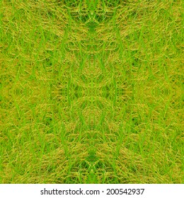 Seamless Pattern Made Paddy Background Texture Stock Photo 200542937 ...