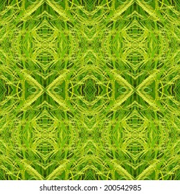 Seamless Pattern Made Paddy Background Texture Stock Photo 200542913 ...