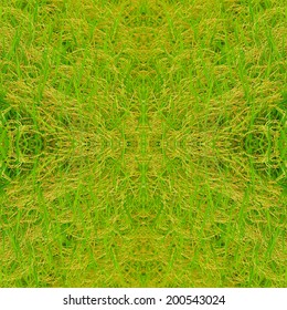 Seamless Pattern Made Paddy Background Texture Stock Photo 200543024 ...