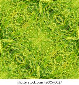 Seamless Pattern Made Paddy Background Texture Stock Photo 200543027 ...