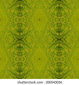 Seamless Pattern Made Paddy Background Texture Stock Photo 200542997 ...