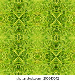 Seamless Pattern Made Paddy Background Texture Stock Photo 200542913 ...