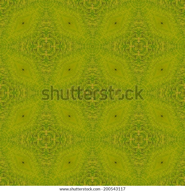 Seamless Pattern Made Paddy Background Texture Stock Photo 200543117 ...