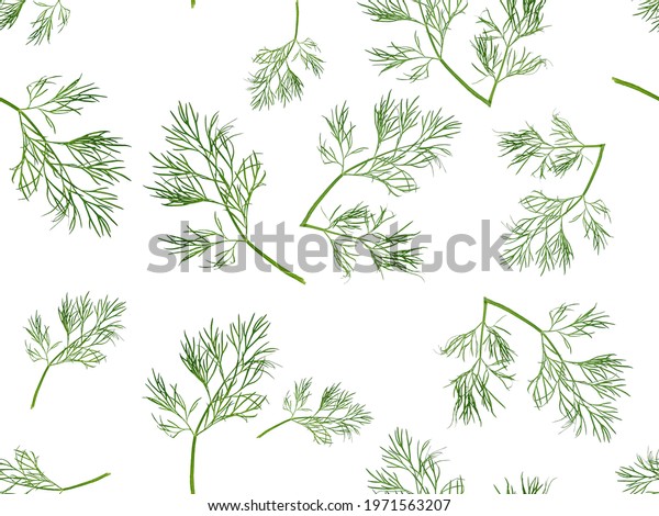 91,994 Dille Isolated Images, Stock Photos & Vectors | Shutterstock