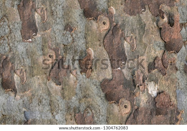 Seamless Texture Plane Tree Trunk Camouflage Stock Photo 1304762083 ...