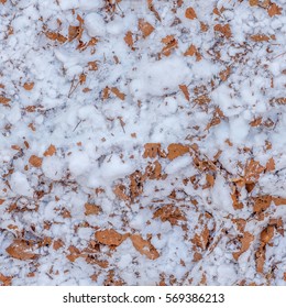 Seamless Texture Smashed Broken Brown Leaves Stock Photo 569386213 ...