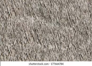 Seamless Thatch Texture Stock Photo (Edit Now) 177664784
