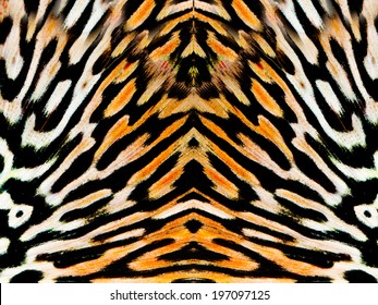 11,481 Tiger skin pattern Stock Photos, Images & Photography | Shutterstock