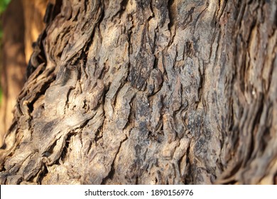 201 Log Footage Images, Stock Photos & Vectors | Shutterstock