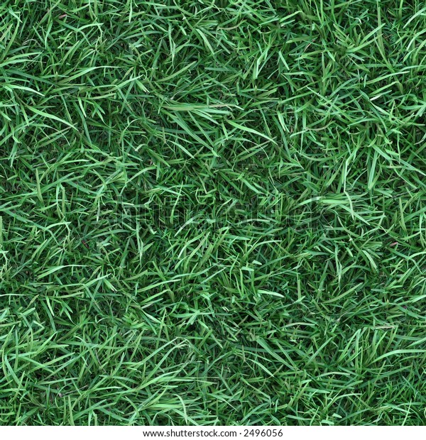 Seamless Tiling Medium Length Grass Texture Stockfoto 2496056 ...