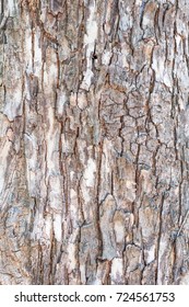 14,008 Tree bark seamless Images, Stock Photos & Vectors | Shutterstock