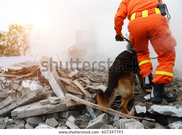 28,890 Disaster Rescue Help Images, Stock Photos & Vectors | Shutterstock