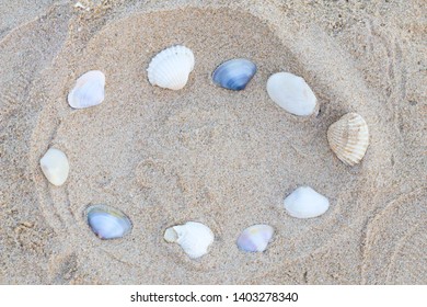 Seashell Circle Shape On Beach Stock Photo 1403278340 | Shutterstock
