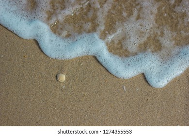 Seashell Wave Stock Photo 1274355553 | Shutterstock