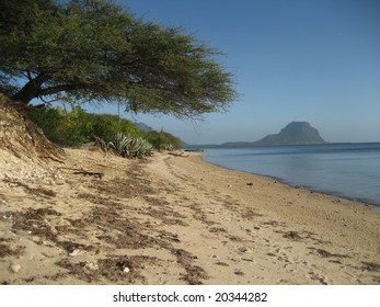 Seaside Mauritius Stock Photo 20344282 | Shutterstock