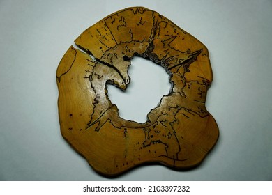 2,598 Wavy trunk Images, Stock Photos & Vectors | Shutterstock
