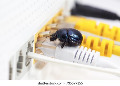 272 Cable breach Images, Stock Photos & Vectors | Shutterstock