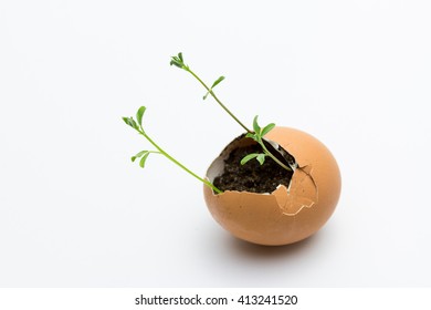 Unexpected beginning Images, Stock Photos & Vectors | Shutterstock