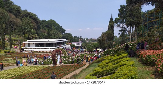 177 Selecta Garden Images, Stock Photos & Vectors | Shutterstock