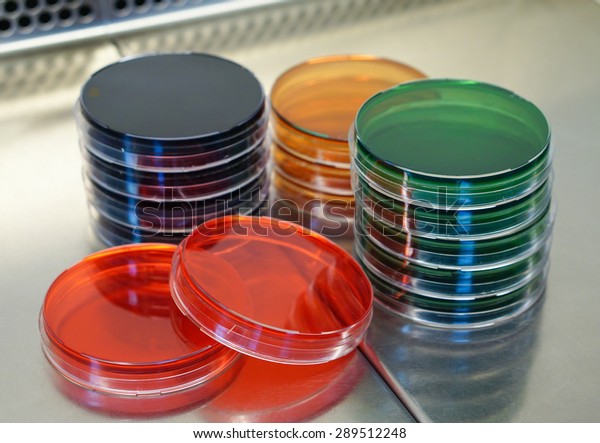 Selective Differential Media Identifying Stock Photo 289512248 ...