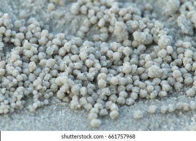 Selective Focus Bunch Tiny Sand Balls Stock Photo 661757968 | Shutterstock