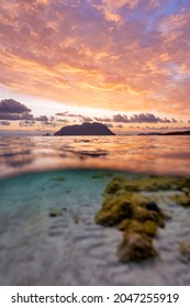 918 Split level water Images, Stock Photos & Vectors | Shutterstock
