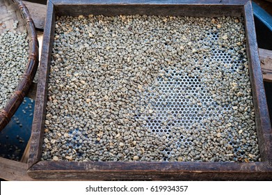 Separation Coffee Beans Using Grate Holes Stock Photo 619934357 ...