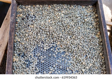 Separation Coffee Beans Using Grate Holes Stock Photo 619934363 ...