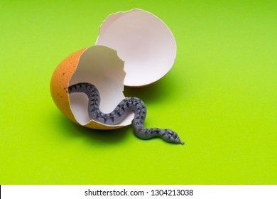 1,116 Tempter Images, Stock Photos & Vectors | Shutterstock