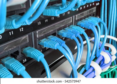 Server Rack Green Internet Patch Cord Stock Photo 542573947 | Shutterstock